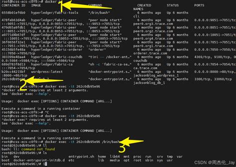 【图文详解】linux和docker常用终端命令docker 终端 Csdn博客