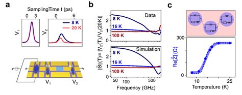 Ultrafast Nonlinear Transport