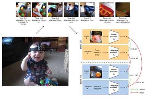 Science：ai可以从婴儿视角学习语言 玉米小站