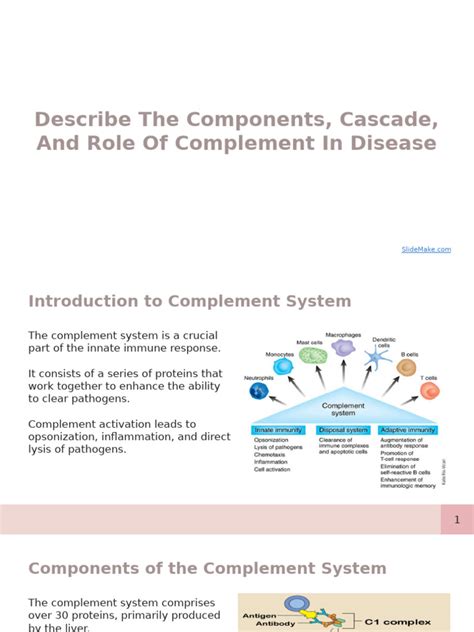 Describe The Components Cascade And Role Of Complement In Disease Pdf Complement System
