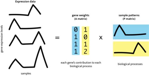 cogaps cogaps user guide