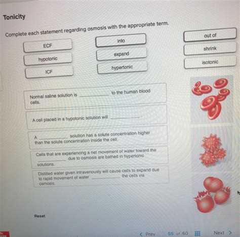 Solved Tonicity Complete Each Statement Regarding Osmosis