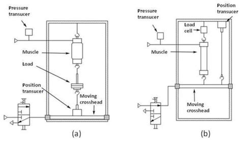 Actuators Special Issue Soft Actuators
