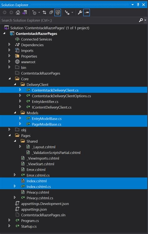 Expose Headless Cms Entry Json In Entry Models Aspnet Core Razor