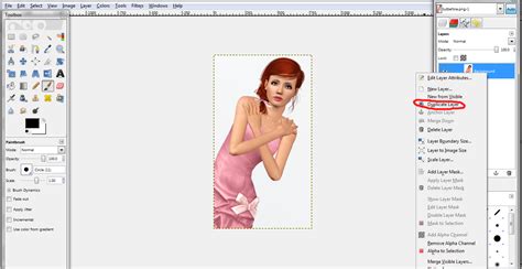 Kali S Tips Tricks Tutorials Color Splash GIMP