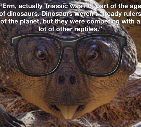 Hyperodapedon 🤓 R Okbuddypaleo