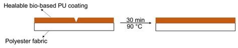 Polymers Free Full Text Bio Based Healable 2k Pu Textile Coating For Durable Applications