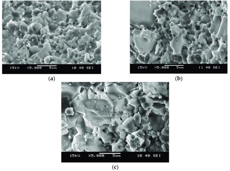 Sem Morphologies Of The Fracture Surface Of The Tested Composites