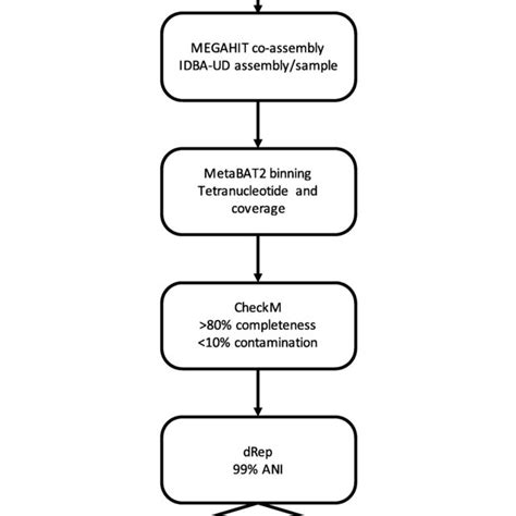 Bioinformatics Workflow Sequence Processing And Mag Discovery And Download Scientific Diagram
