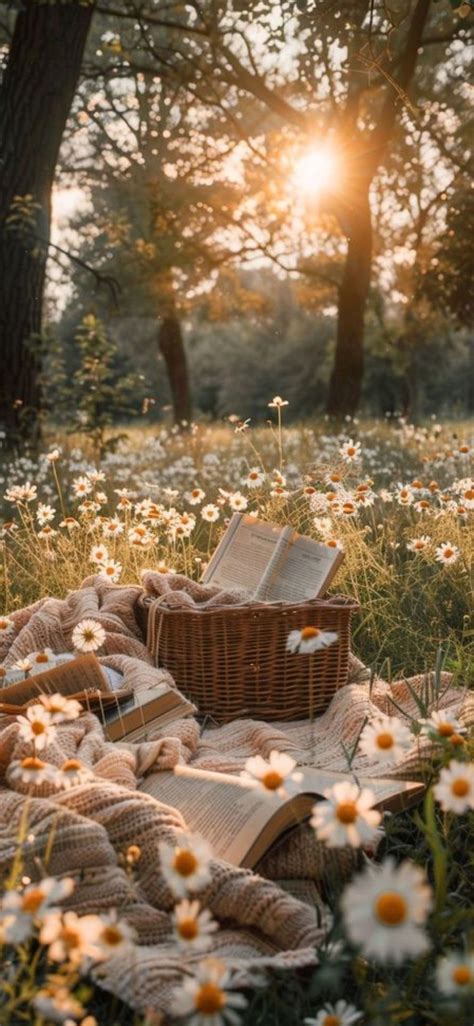 Pin By Linda Sims On ☀ Let The Sunshine In ☀ In 2025 Lovely Flowers