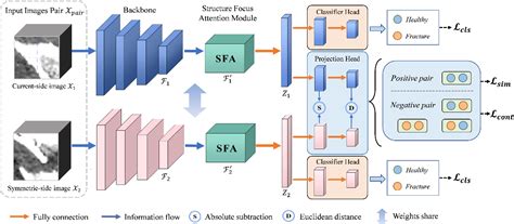 Figure 2 From Two Stage Structure Focused Contrastive Learning For Automatic Identification And