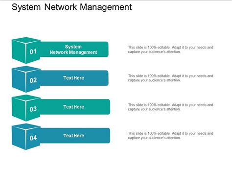 System Network Management Ppt Powerpoint Presentation Ideas Slide Download Cpb Graphics
