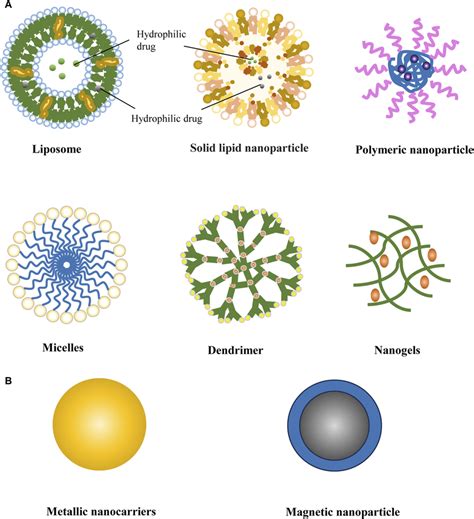 Schematic Representation Of Various Types Of Nanocarriers Used Commonly Download Scientific