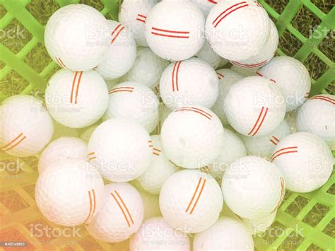 잔디 배경 텍스트에 대 한 풍부 하 고 공간에 대 한 스포츠의 개념에 바구니에 골프공 가을에 대한 스톡 사진 및 기타 이미지 가을 경쟁 골프 Istock