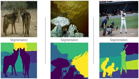 Unsupervised Image Segmentation Using Manifold Learning By Salahidine