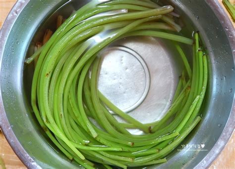 머위장아찌 아삭한 머위대 요리