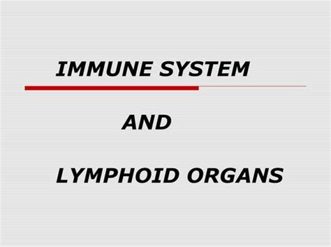 Primary And Secondary Lymphoid Organs Ppt