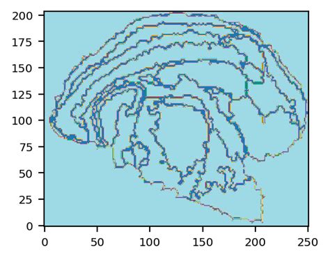 2 Combined Visualization Of Domains And Segmented Cells Spateo