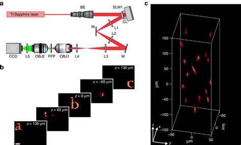 3d Cgh A Schematic Of The Optical Set Up For 3d Cgh In This Case