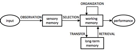 Sensory Memory Working Memory And Long Term Memory Download