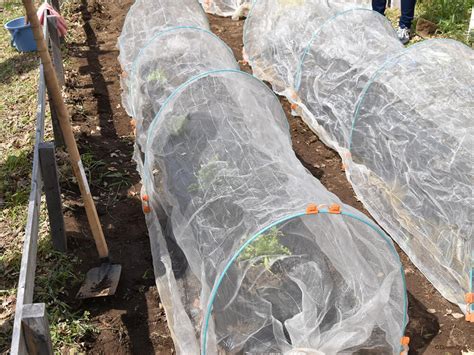 寒冷紗 かんれいしゃ とは遮光率や使い方効果は HORTI ホルティ by GreenSnap