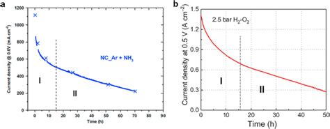 Stability Measured By Chronoamperometry Showing Two Decay Rates A