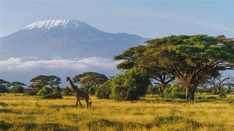 Kenyas 10 Best Natural Wonders Lonely Planet