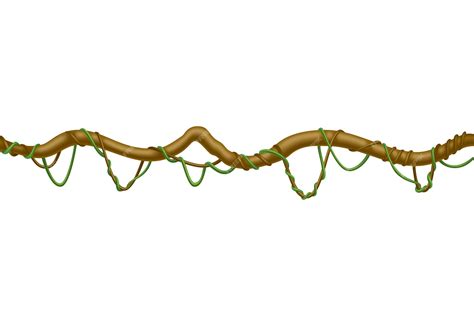 리아나 줄기 테두리 열대 우림 녹색 포도 나무 또는 나뭇 가지에 매달려 꼬인 식물 만화 정글 기는 열대 자연 식물 프리미엄 벡터