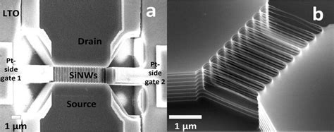 A Top Side View Of Fabricated 3d Vertically Stacked Sensor Two Pt Download Scientific Diagram