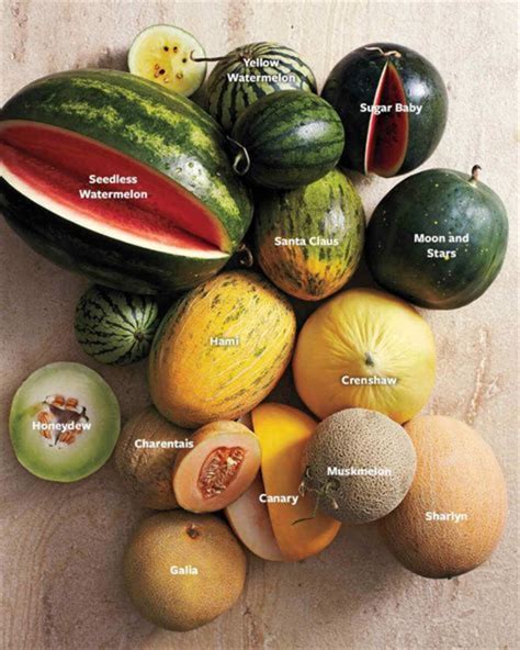 Different Types Of Melons Subtropical Fruits Melons Sciencedirect