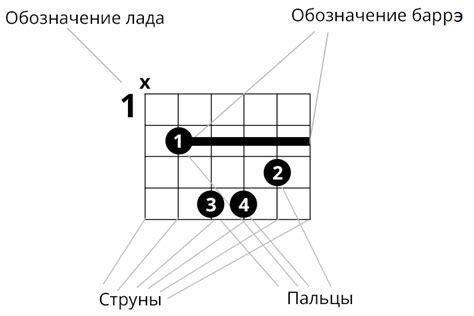 Аккорды для гитары. Аккорды песен под гитару