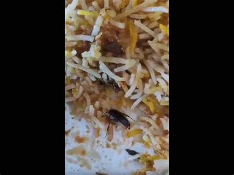 Video Cockroach Found In Biryani At Necklace Road Restaurant
