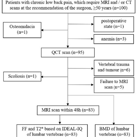 The Flowchart Of The Study Ct Computed Tomography Qct Quantitative