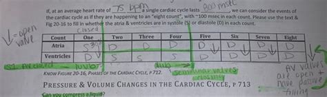 Lecture Test Flashcards Quizlet Lecture Test Flashcards Quizlet