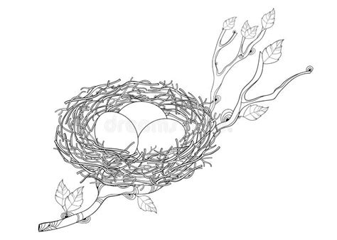 Empty Bird Nest Clip Art Black And White