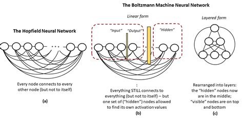 Directed Vs Undirected Graphs In Nns The Surprising Implications