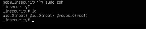 一份完整指南：如何在 linux 中使用 “sudo“ 命令提权？ sudo如何终端提权 csdn博客