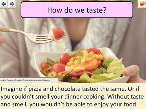 Explanatory Text Wagoll Teaching Resources