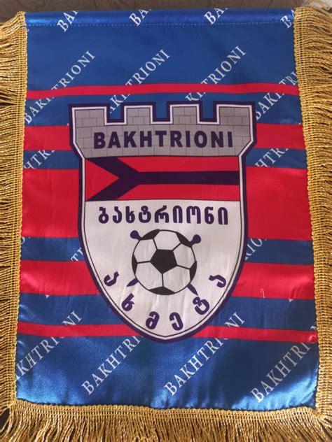 ახმეტის საფეხბურთო სკოლა ბახტრიონი