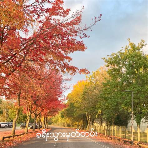 ဖတ္စရာ မွတ္စရာ သုတ အျဖာျဖာ