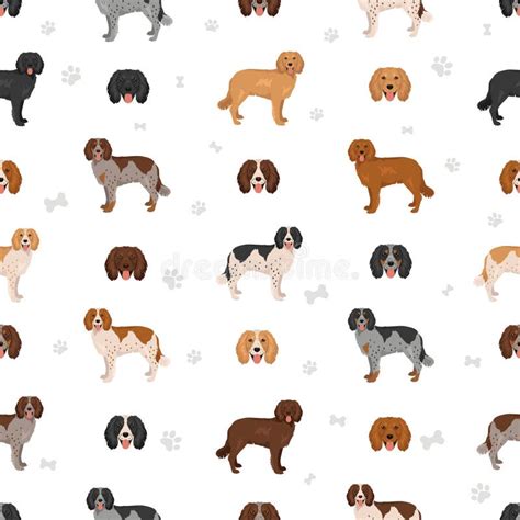 English Cocker Spaniel Working Type Field Bred Clipart And Seamless