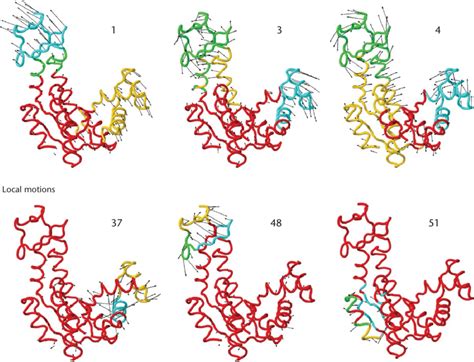 Normal Mode Analysis Applied To A Biological Macromolecule