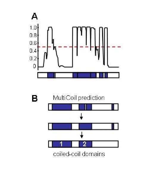 2 Coiled Coil Structure Prediction By Multicoil And Extractprop Download Scientific Diagram