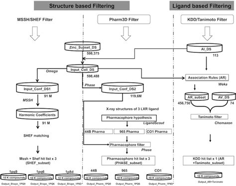 General Flowchart Of The Three Filtering Strategies Described By