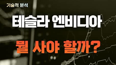 시장 주도주 엔비디아 Vs 테슬라 ｜시장 상승기 투자 전략은 Youtube