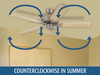 Ceiling Fan Maximise Comfort And Energy Savings
