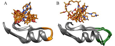 Superposition Of The Final Structures Snapshots Of The Md Simulations