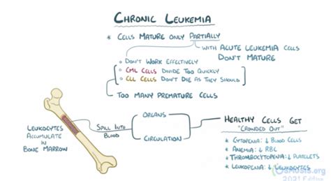 Chronic Myeloid Leukaemia Cml Flashcards Quizlet
