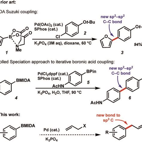 A Previous Bmida Coupling Strategies B Proposed Bmida Allylation To