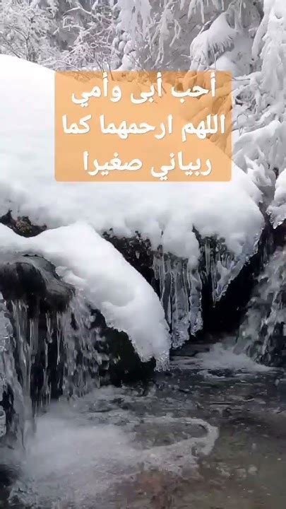 أحب أبى Shorts Youtube